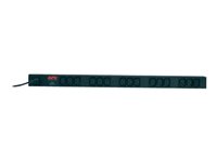 APC Basic Rack-Mount PDU - power distribution strip - 2.3 kW