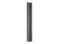 Panduit PatchRunner 2 - rack cable management panel (vertical) - 45U