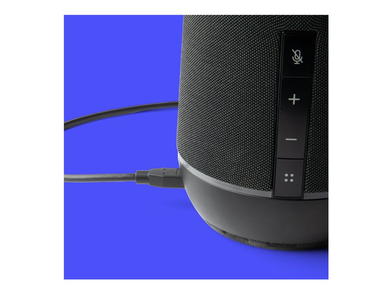 Owl Labs - Câble USB de type-C - 24 pin USB-C pour 24 pin USB-C - 4.87 ...