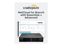 Cradlepoint NetCloud Essentials and Advanced for Branch Performance ...