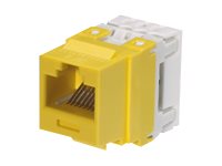 Panduit NetKey Punchdown Jack Module Convenience Pack - modular insert
