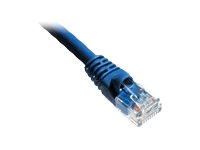 Axiom patch cable - 2 ft - blue