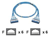 Panduit QuickNet Pre-Terminated Cable Assembly | Overview, Specs ...