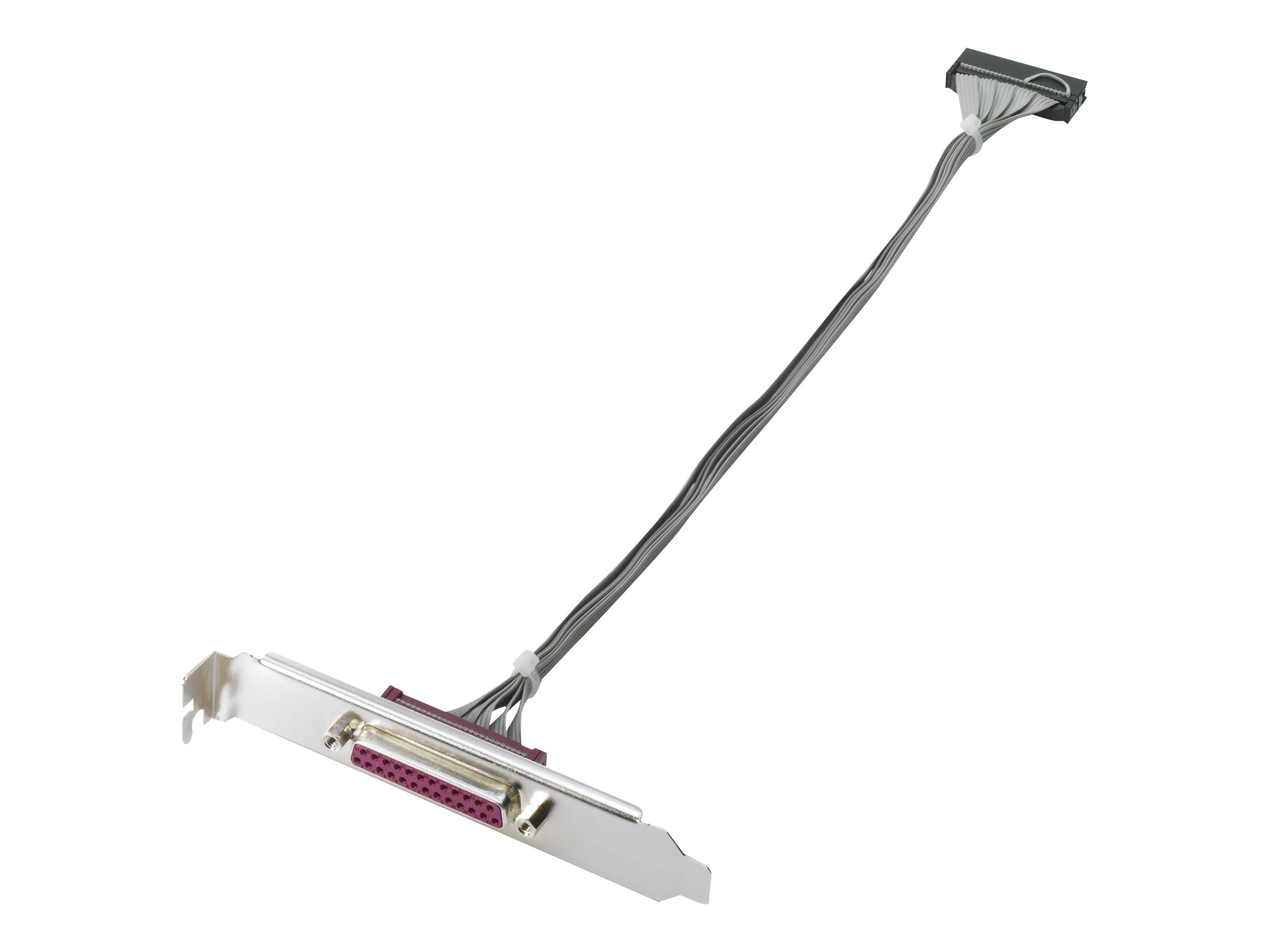 HP Parallel Port Adapter | SHI