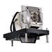 BTI NP22LP-BTI - projector lamp