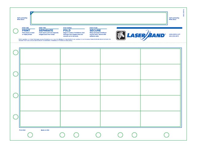Zebra LaserBand Original | www.shi.com