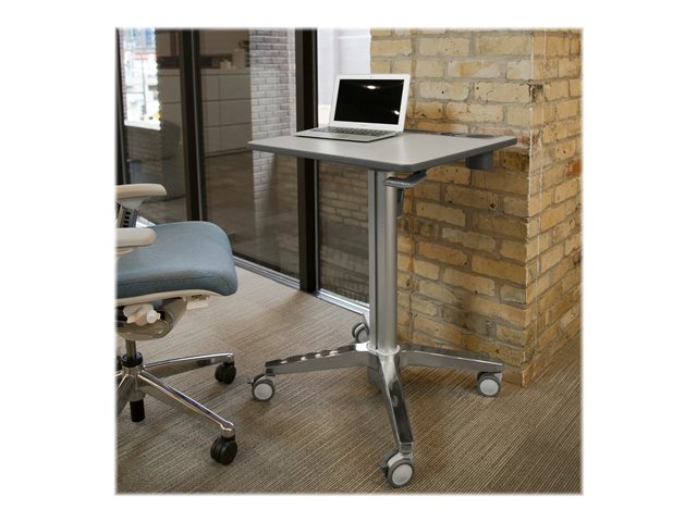 Ergotron learnfit store