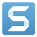 Snagit 2025 - Business License - 1 user