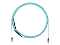 Panduit QuickNet trunk cable - 5.49 m - aqua