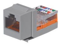 Panduit NetKey - Modular insert | www.shi.com
