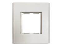 Tripp Lite Single-Gang French-Style Gang Frame, White, TAA - faceplate ...