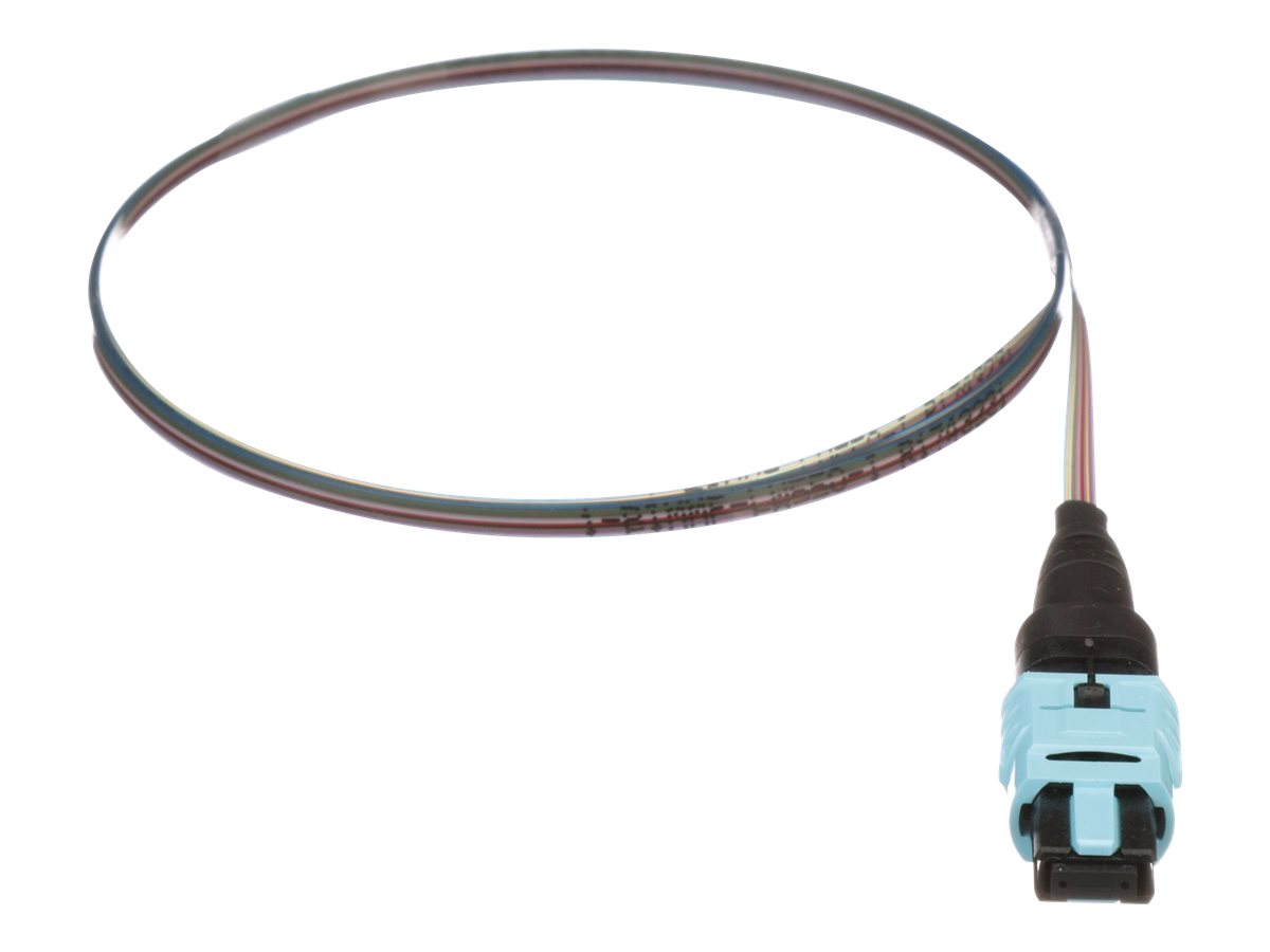 Panduit QuickNet PanMPO/MPO Ribbon Pigtail Assembly | Overview, Specs ...