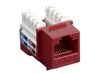 Black Box Value Line CAT6 - modular insert
