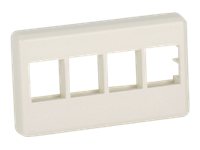 Panduit NetKey Modular Furniture Faceplate | SHI