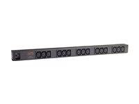 APC Basic Rack PDU Zero U - power distribution strip