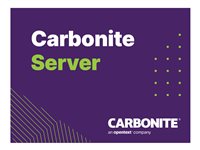 Carbonite Server Hybrid Bundle - subscription license (3 years) - 2 TB ...