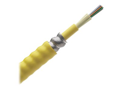 Panduit Opti-Core Fiber Optic Indoor Interlocking Armored Cable | SHI