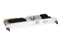 Cisco 1-Port 10 Gigabit Ethernet LAN/WAN-PHY Shared Port Adapter ...