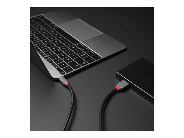 Lindy Anthra Line - Câble USB de type-C - 24 pin USB-C pour Micro-USB ...
