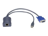 Black Box ServSwitch CX Server Access Module - rallonge KVM