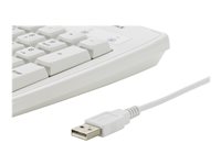 Kensington Pro Fit USB Washable Keyboard - keyboard - US - white