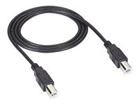 Black Box - USB cable - USB Type B to USB Type B - 15.7 ft