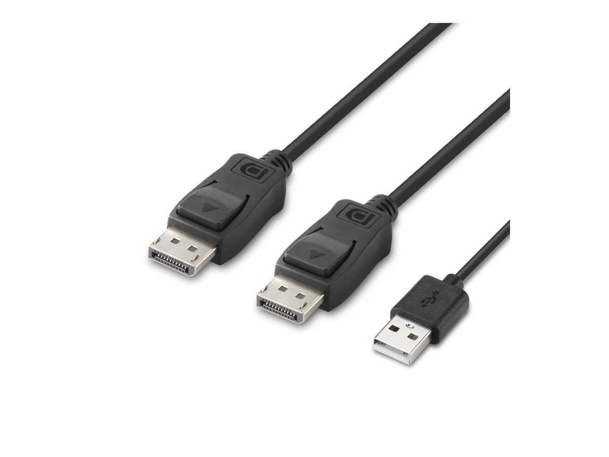 Belkin Secure Modular DP Dual Head Host Cable | www.shi.com