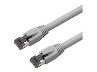 Axiom cordon de raccordement - 3 ft - gris