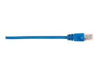 Black Box patch cable - 2 ft - blue