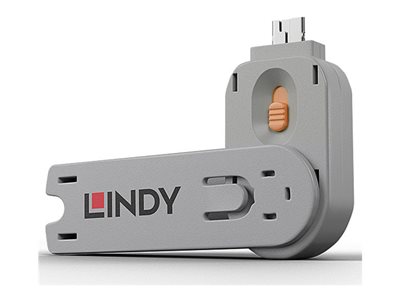 Lindy USB Type A Port Blocker Key - USB-Portblocker