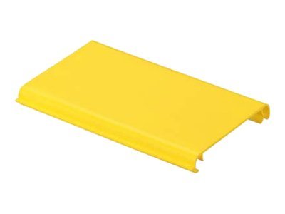 Panduit FiberRunner 4x4 Snap-On Hinged Cover | Overview, Specs, Details ...