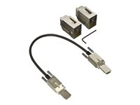 Cisco StackWise stacking upgrade kit - network stacking module