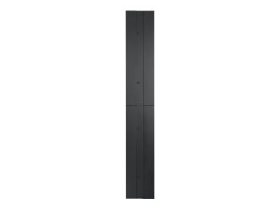 Panduit NetRunner rack cable management end panel - 45U