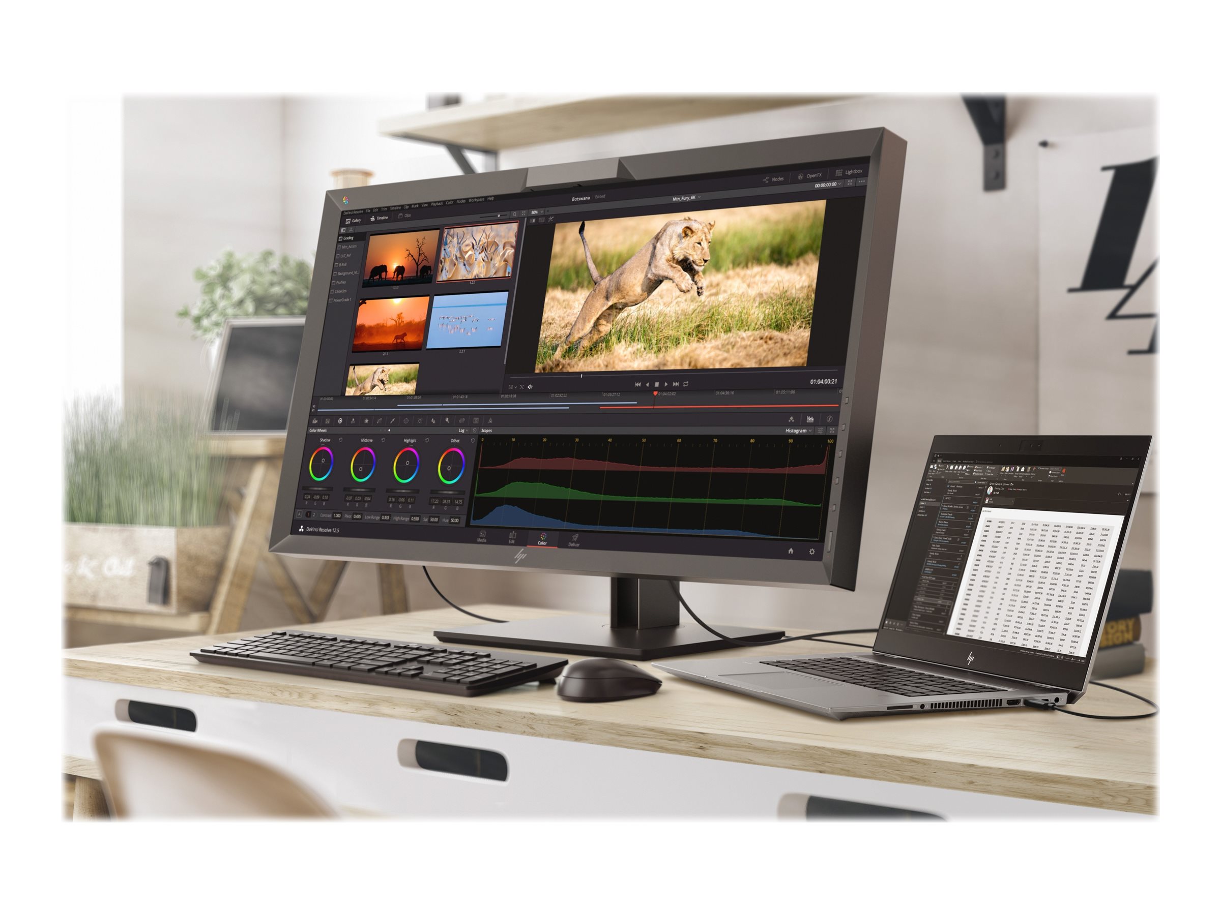 HP Z24nf G2 - Head Only | Overview, Specs, Details | SHI