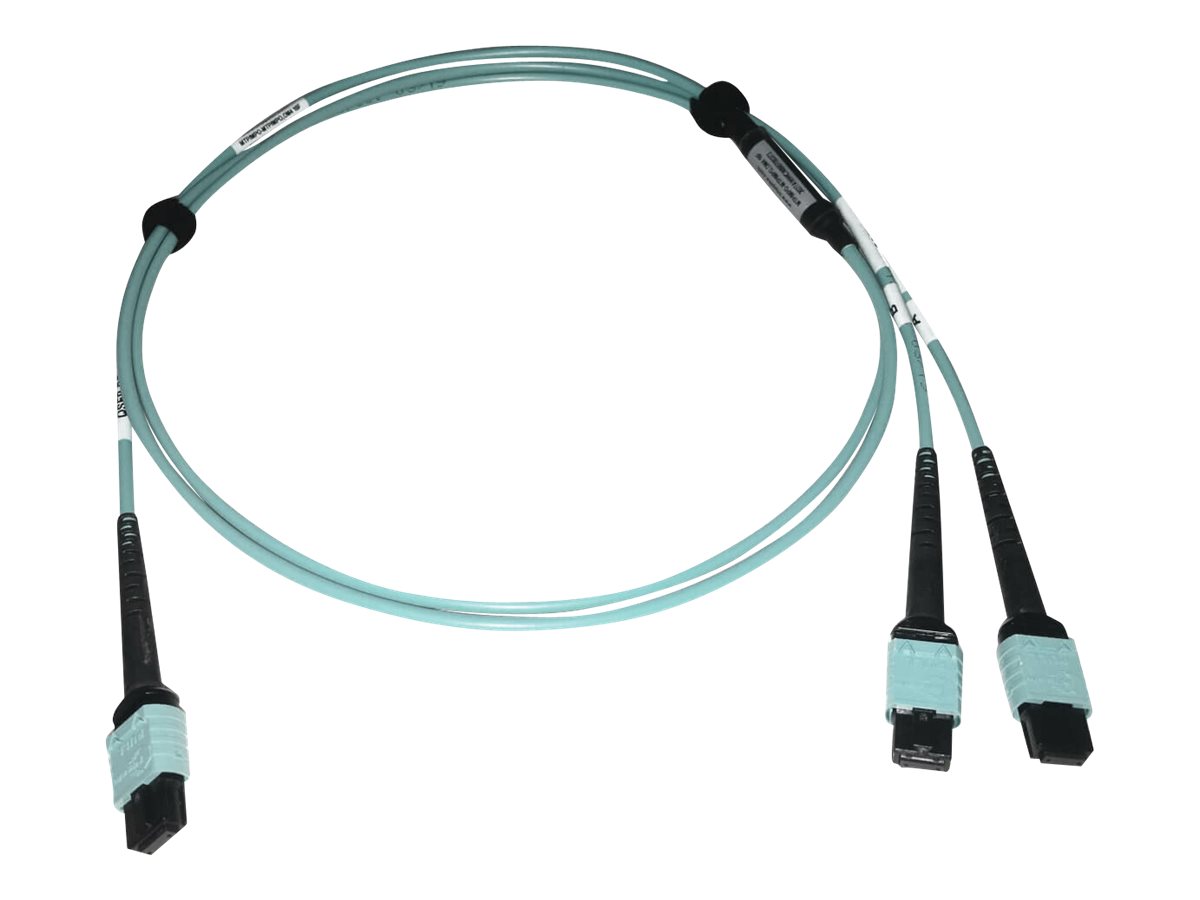 Eaton Tripp Lite Series 400G Multimode 50/125 OM4 Plenum Fiber Optic ...