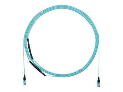 Panduit QuickNet Small Diameter Trunk Cable Assemblies | www.shi.com