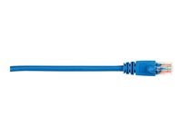 Black Box patch cable - 2 ft - blue