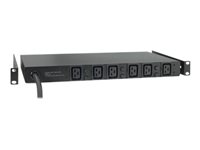 APC Basic Rack PDU - power distribution strip