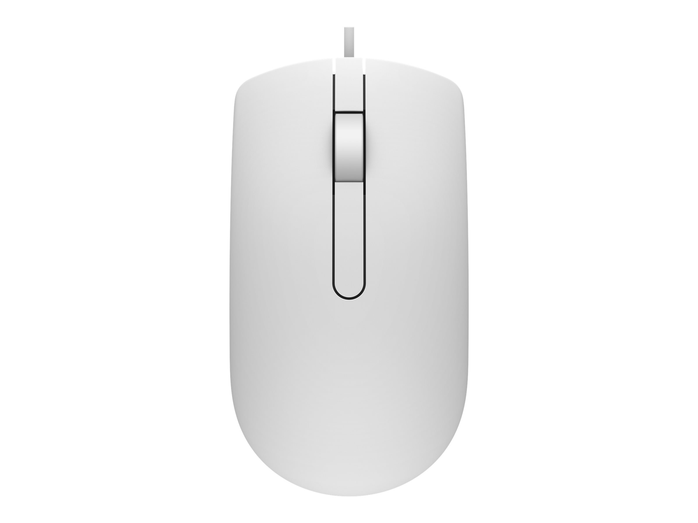 Dell MS116, mouse, USB, white - Paradigm PCs