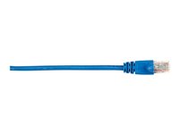 Black Box patch cable - 10 ft - blue
