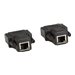 Black Box DVI-D Digital Video Extender Kit - video extender