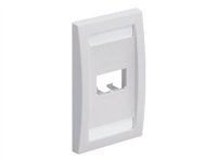 Panduit MINI-COM Executive - faceplate