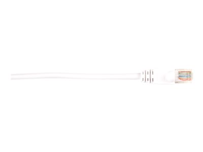 Black Box patch cable - 1 ft - white