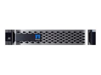 NetApp All Flash FAS AFF A250 | SHI