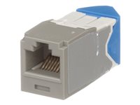 Panduit MINI-COM TX6A modular insert