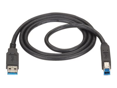 Black Box - USB cable - USB Type A to USB Type B - 10 ft