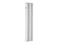 Panduit PatchRunner 2 - rack cable management panel (vertical) - 52U