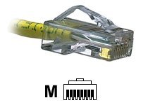 Panduit Pan-Plug - Network connector | Overview, Specs, Details | SHI