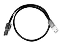 Veritas SAS external cable - 3.3 ft