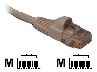 CP Technologies - Patch cable | Overview, Specs, Details | SHI Government Solutions